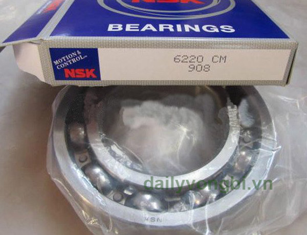 Vòng bi bạc đạn NSK 6220